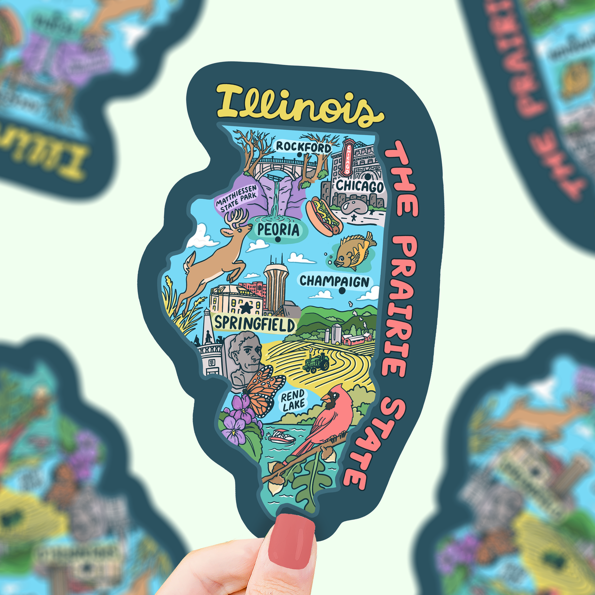 Illinois State Vinyl Sticker – Turtle's Soup